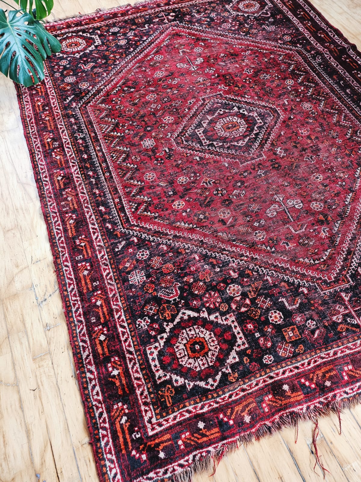 All – How Bizarre Rugs